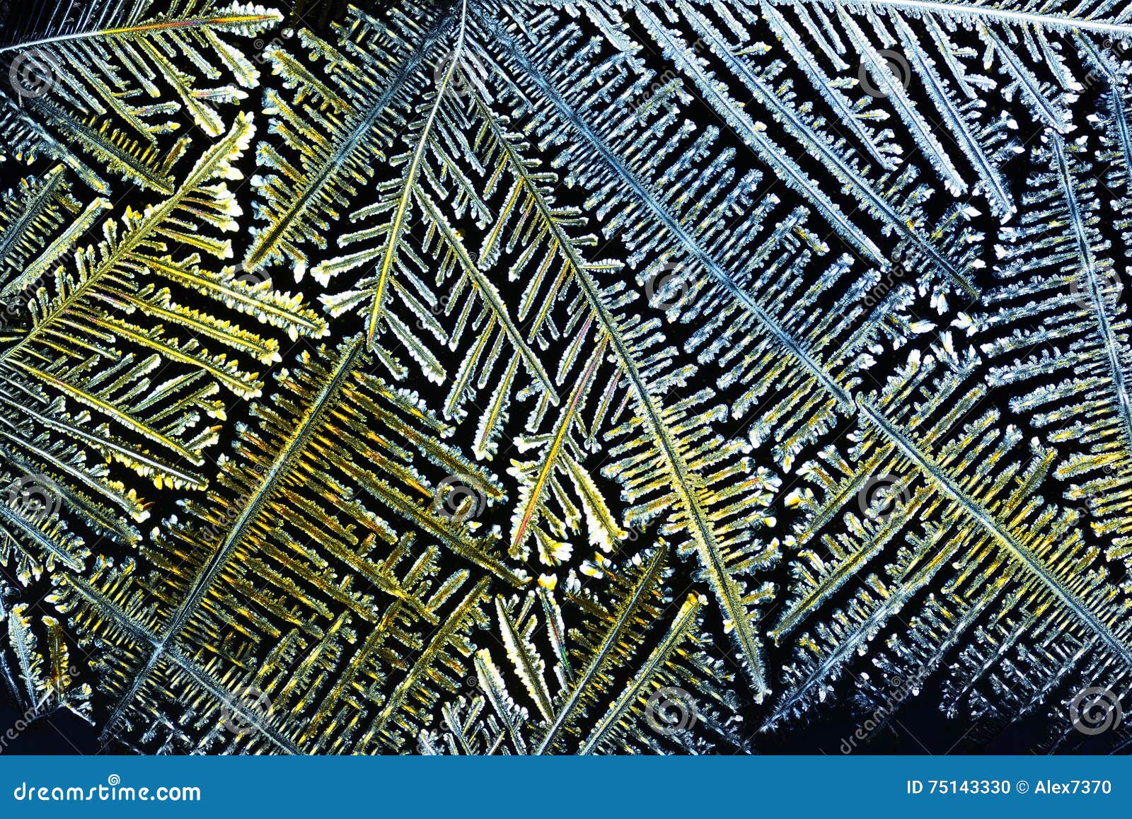 Colorful Micro Crystals in Polarized Light Stock Photo - Image of ...