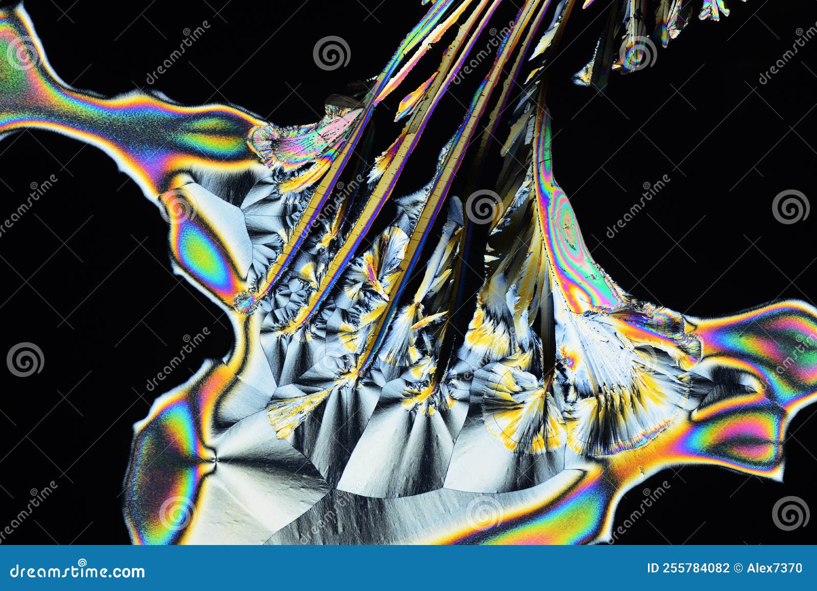 Colorful Micro Crystals in Polarized Light. Photo through a Microscope ...