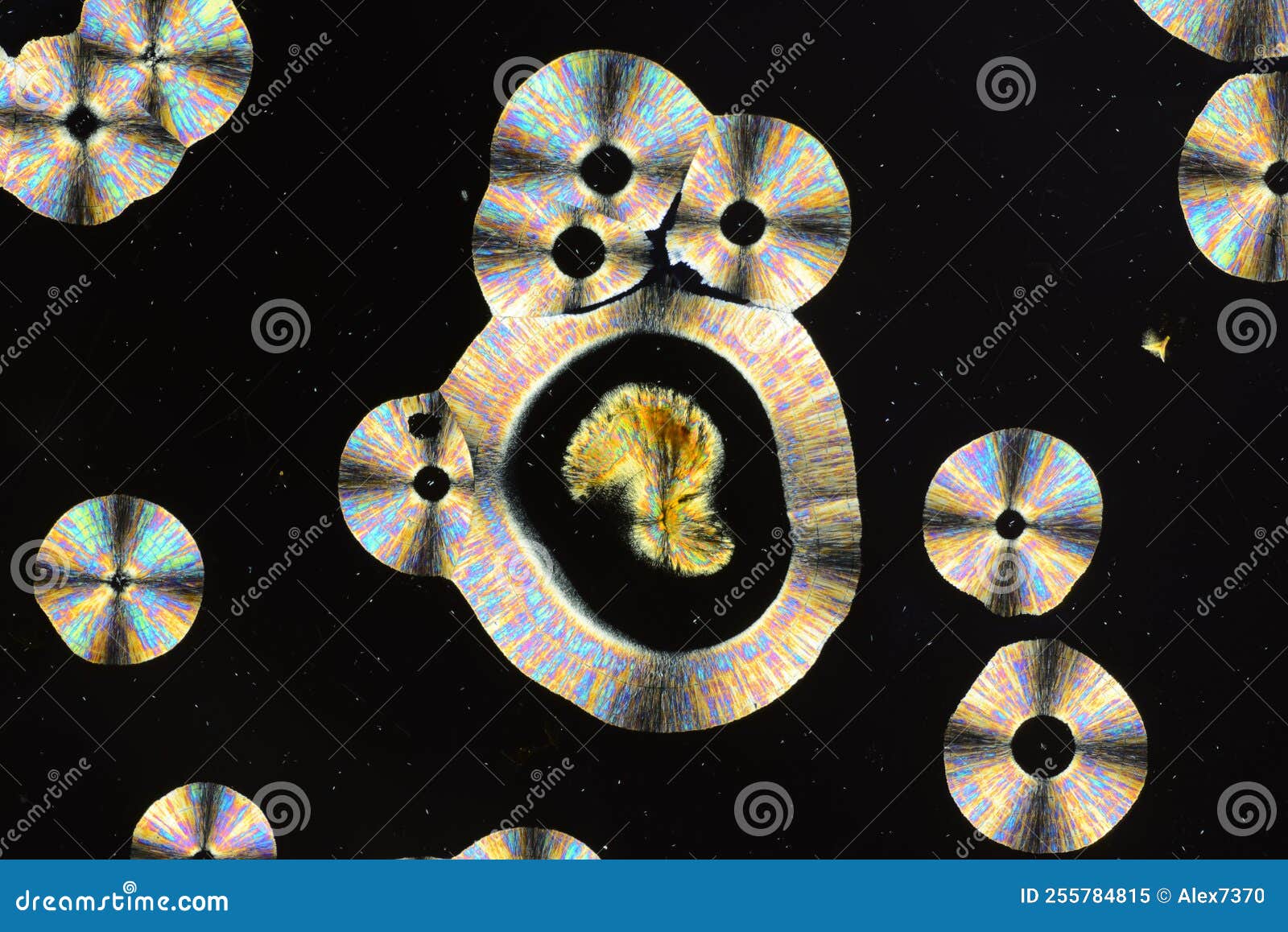 Colorful Micro Crystals in Polarized Light. Photo through a Microscope ...