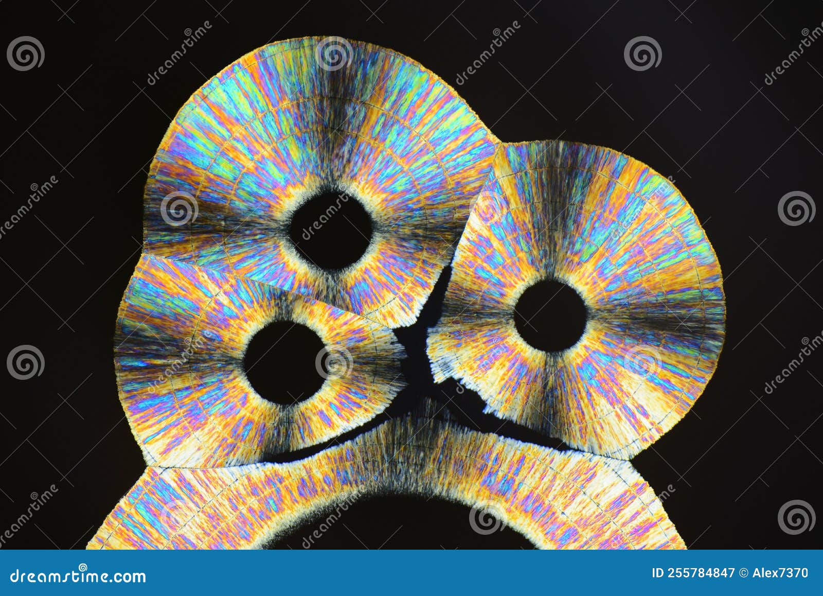 Colorful Micro Crystals in Polarized Light. Photo through a Microscope ...