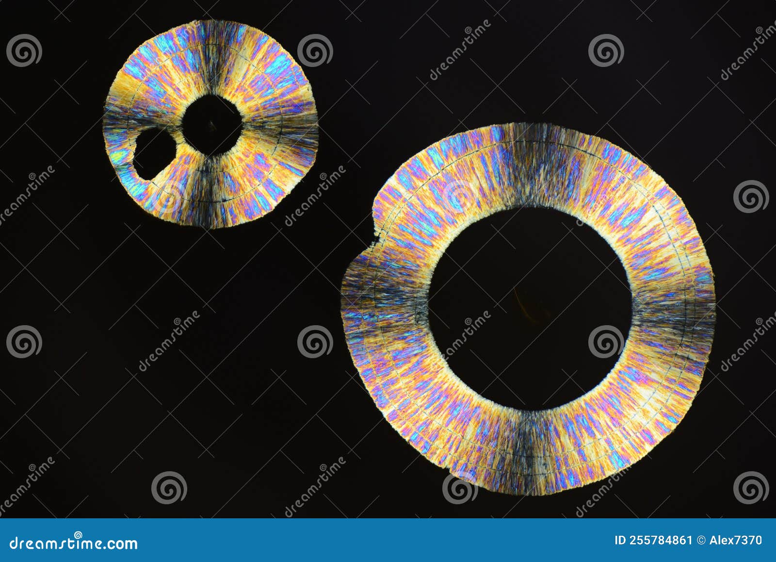 Colorful Micro Crystals in Polarized Light. Photo through a Microscope ...