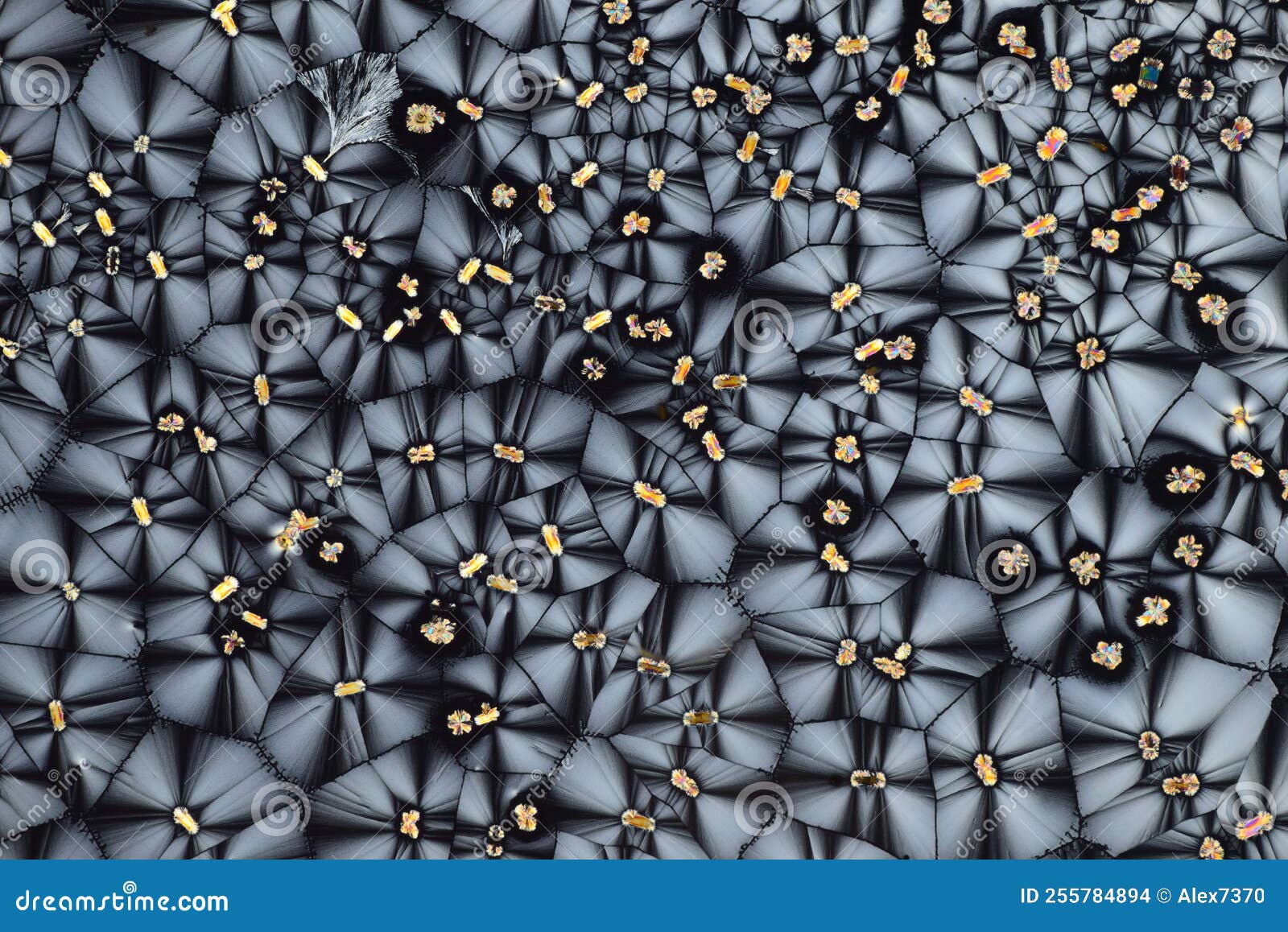 Colorful Micro Crystals in Polarized Light. Photo through a Microscope ...