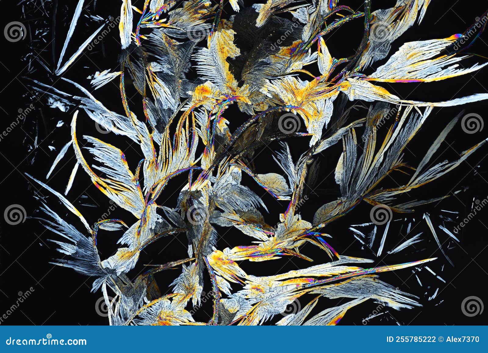 Colorful Micro Crystals in Polarized Light. Photo through a Microscope ...