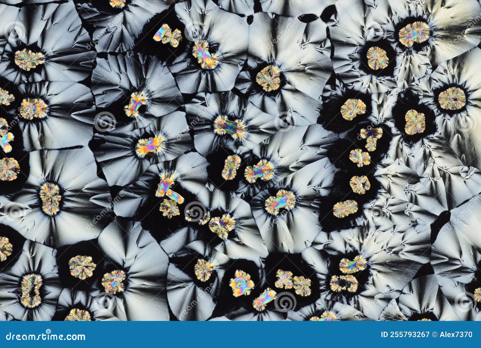 Colorful Micro Crystals in Polarized Light. Photo through a Microscope ...