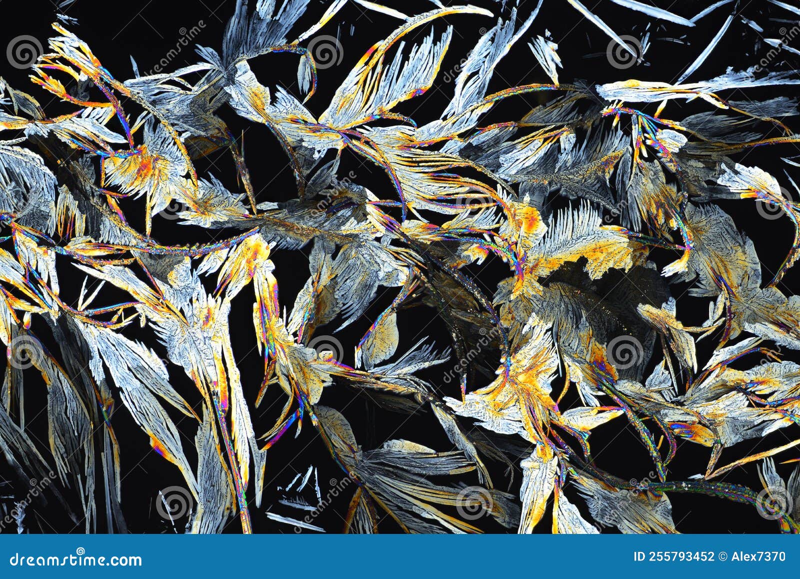 Colorful Micro Crystals in Polarized Light. Photo through a Microscope ...