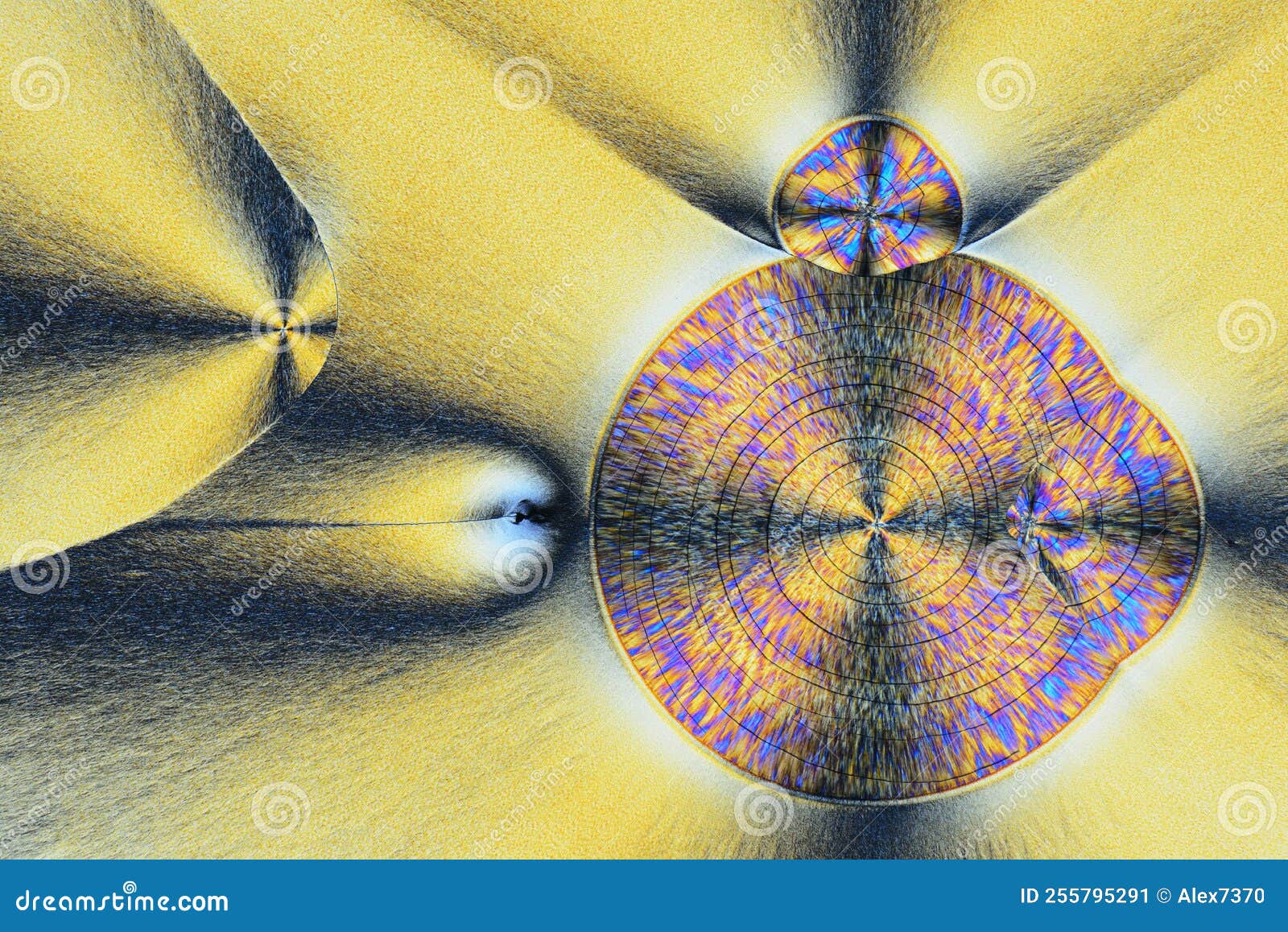 Colorful Micro Crystals in Polarized Light. Photo through a Microscope ...
