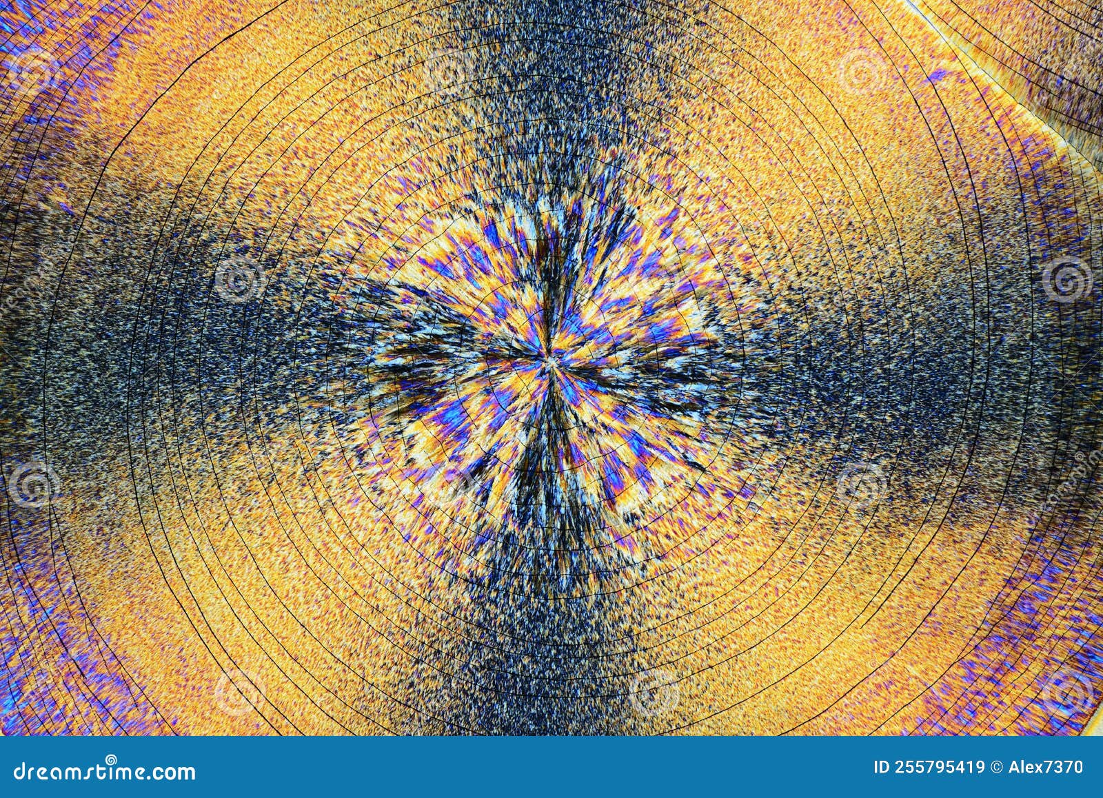 Colorful Micro Crystals in Polarized Light. Photo through a Microscope ...