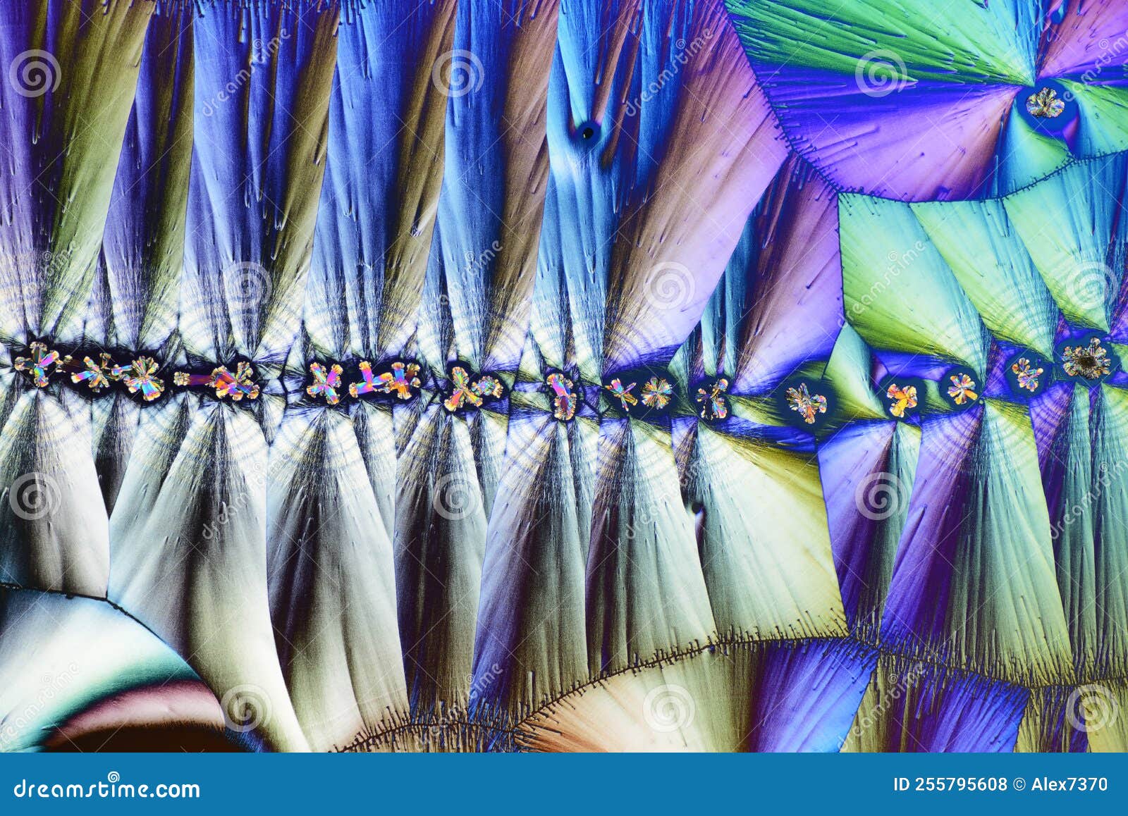 Colorful Micro Crystals in Polarized Light. Photo through a Microscope ...