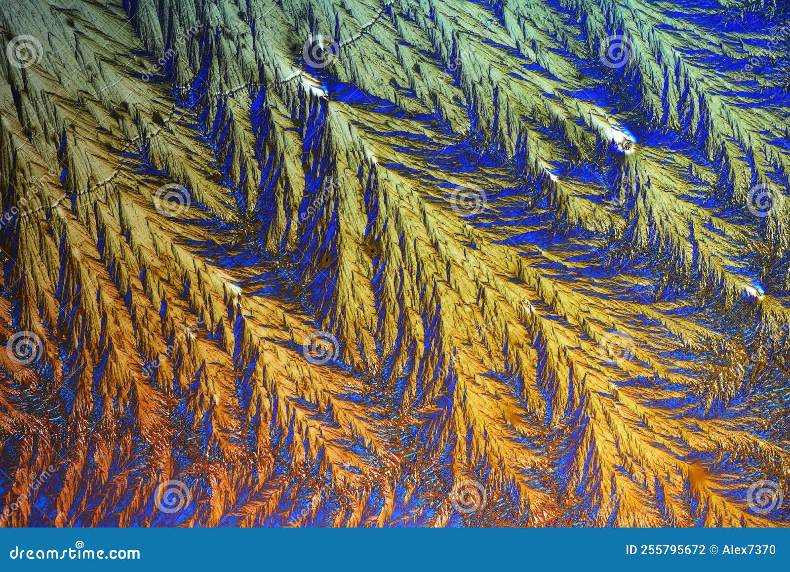 Colorful Micro Crystals in Polarized Light. Photo through a Microscope ...