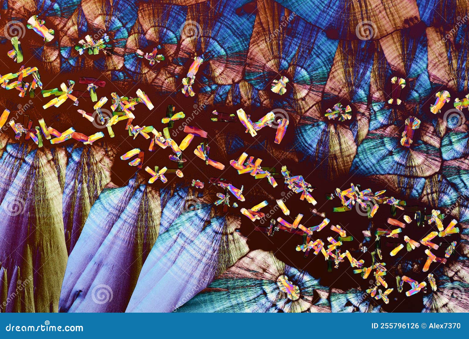 Colorful Micro Crystals in Polarized Light. Photo through a Microscope ...
