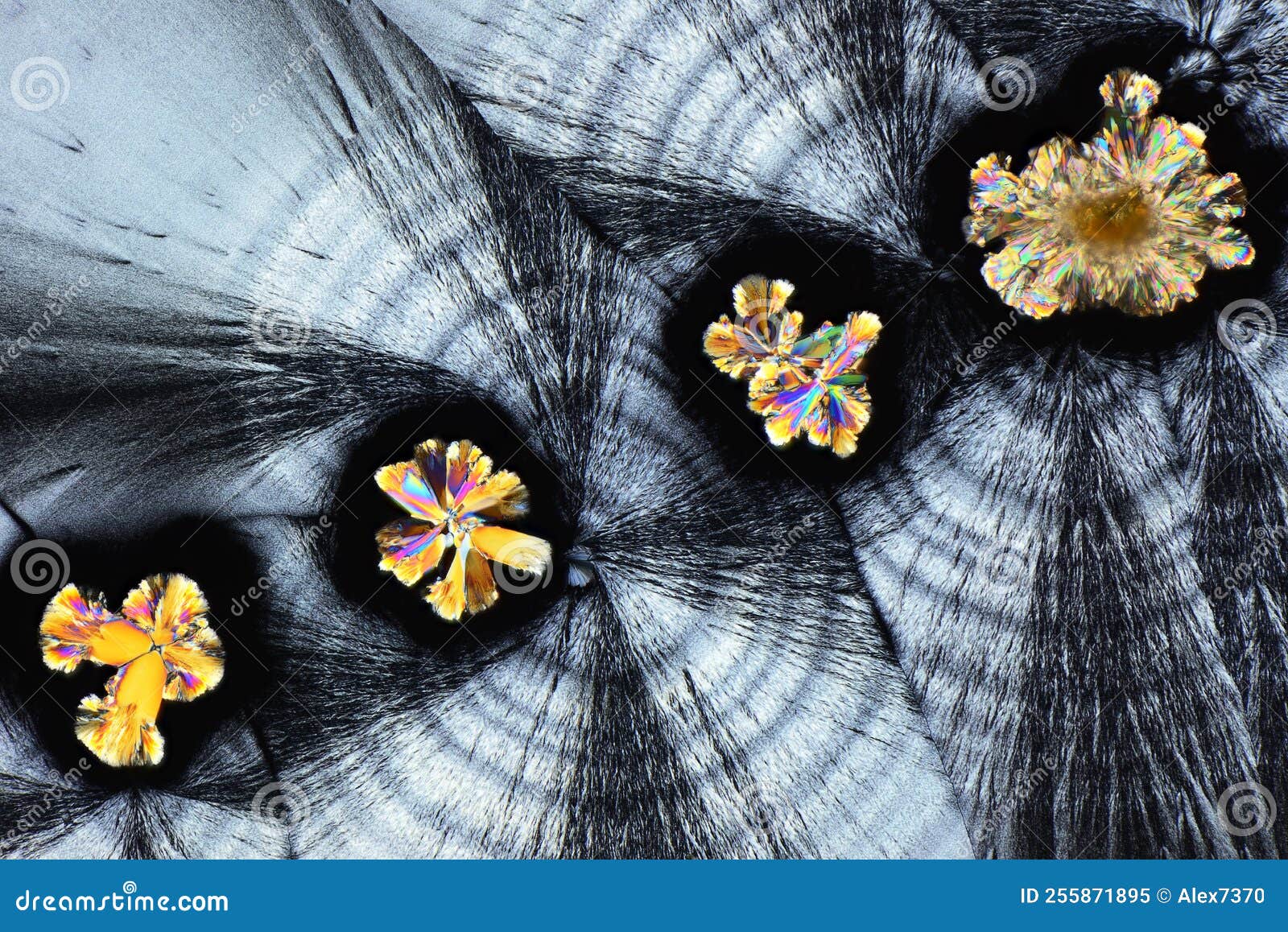 Colorful Micro Crystals in Polarized Light. Photo through a Microscope ...