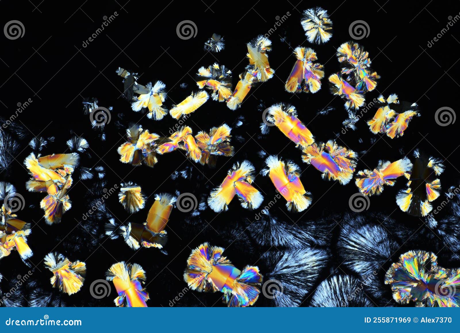 Colorful Micro Crystals in Polarized Light. Photo through a Microscope ...