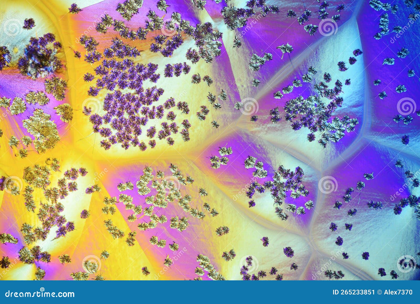 Colorful Micro Crystals in Polarized Light. Photo through a Microscope ...