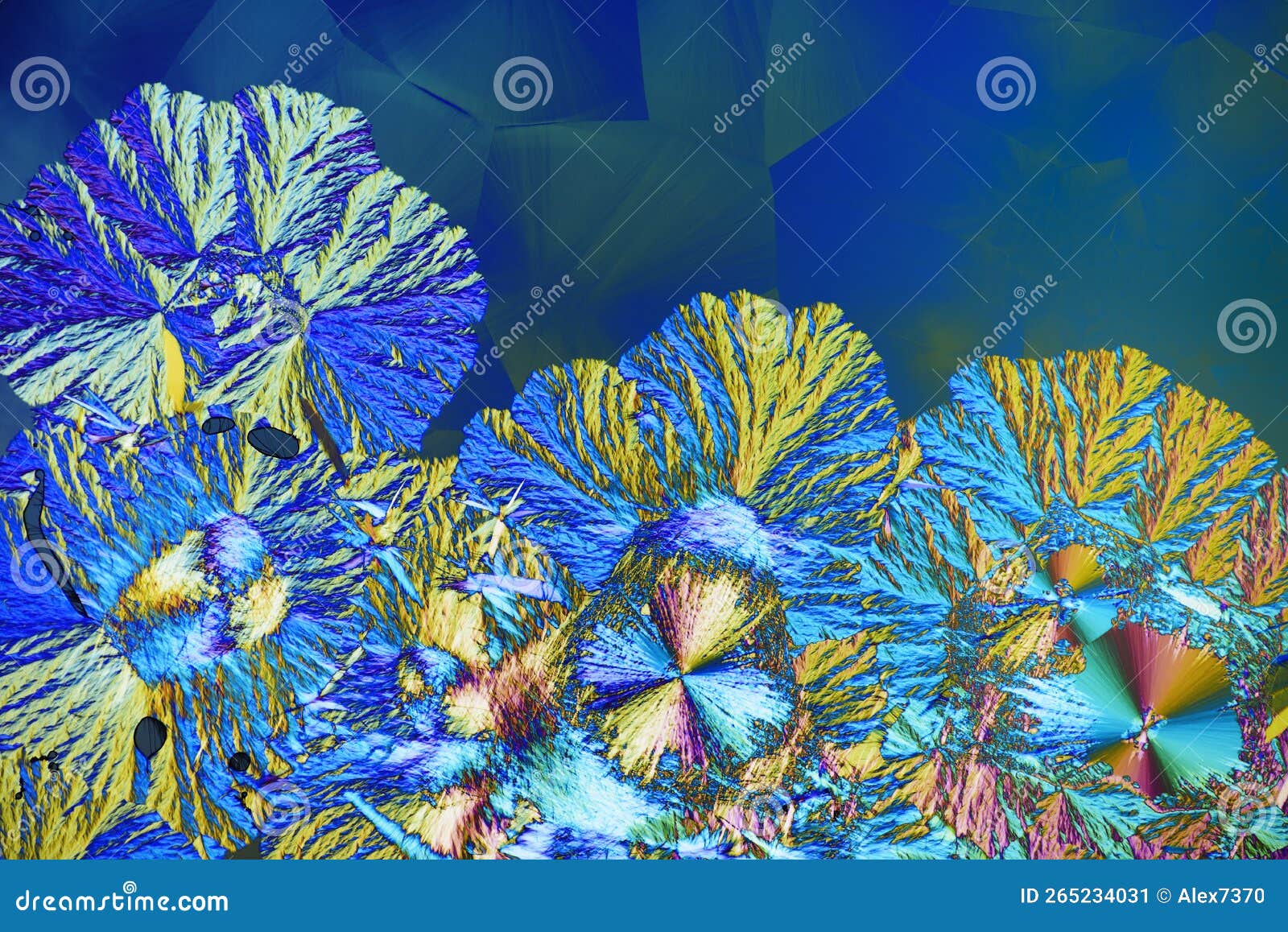 Colorful Micro Crystals in Polarized Light. Photo through a Microscope ...