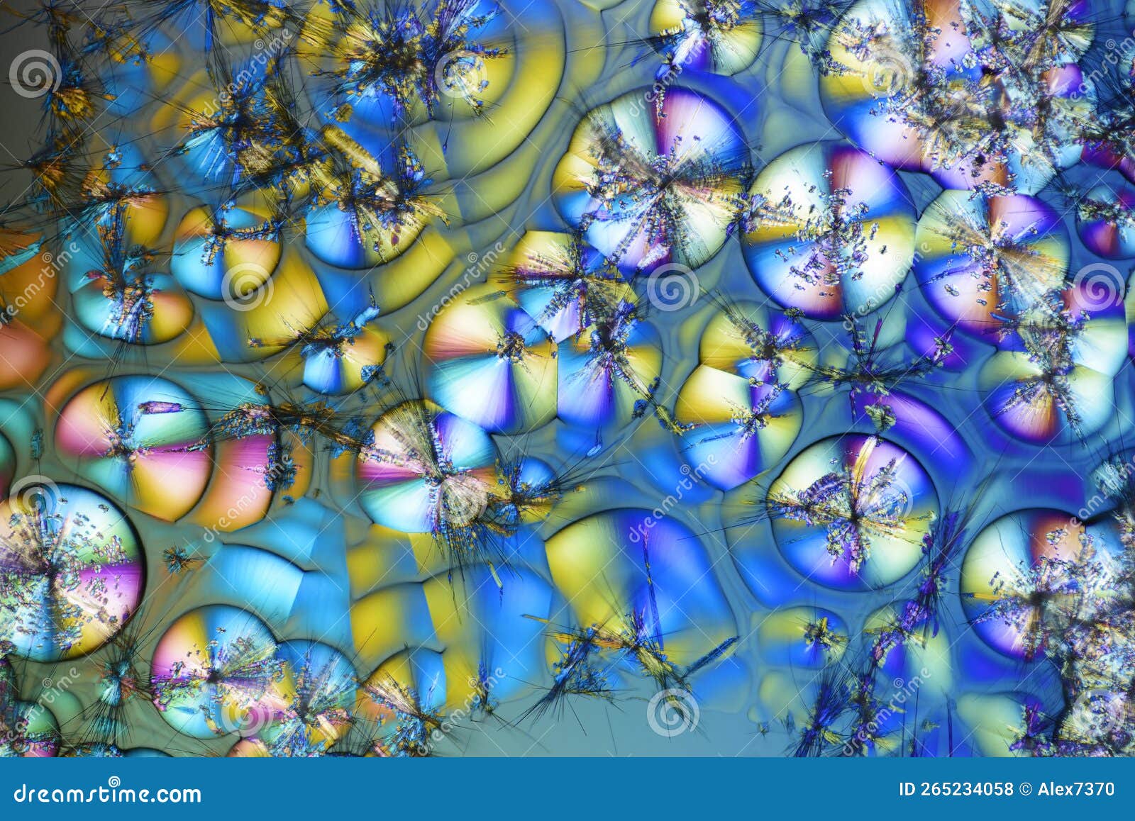 Colorful Micro Crystals in Polarized Light. Photo through a Microscope ...
