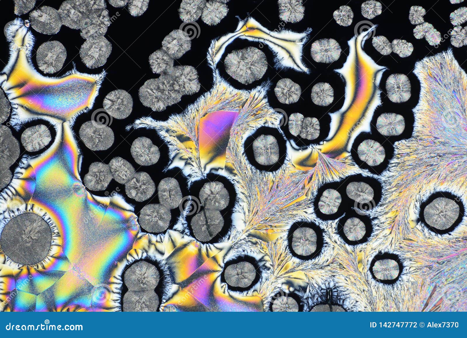 Colorful Micro Crystals in Polarized Light. Photo through a Microscope ...