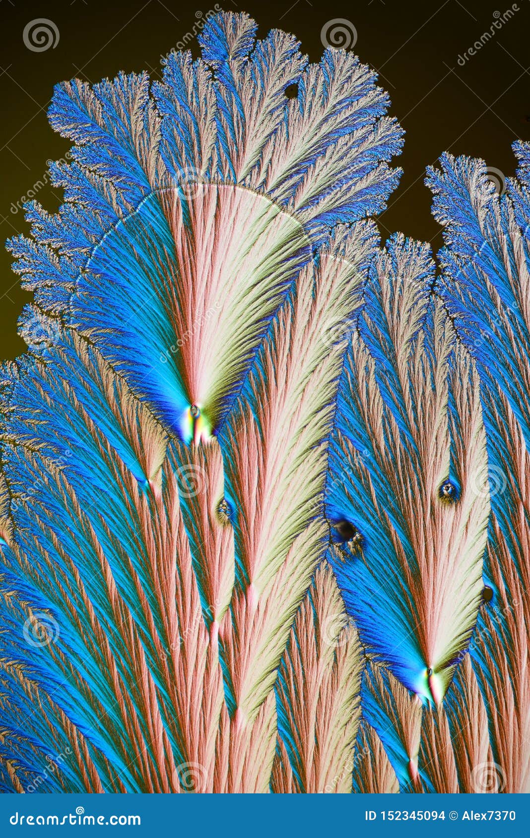 Colorful Micro Crystals in Polarized Light. Photo through a Microscope ...