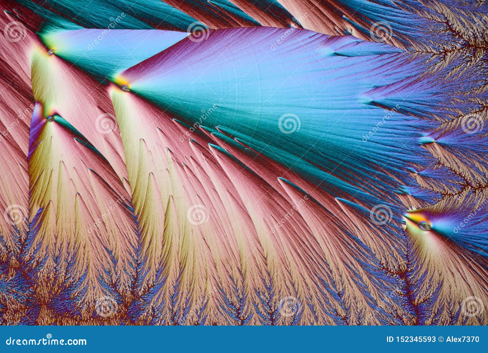 Colorful Micro Crystals in Polarized Light. Photo through a Microscope ...