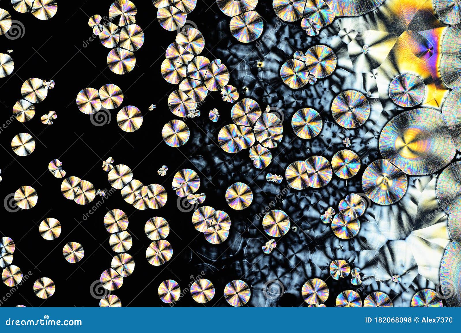 Colorful Micro Crystals in Polarized Light. Photo through a Microscope ...