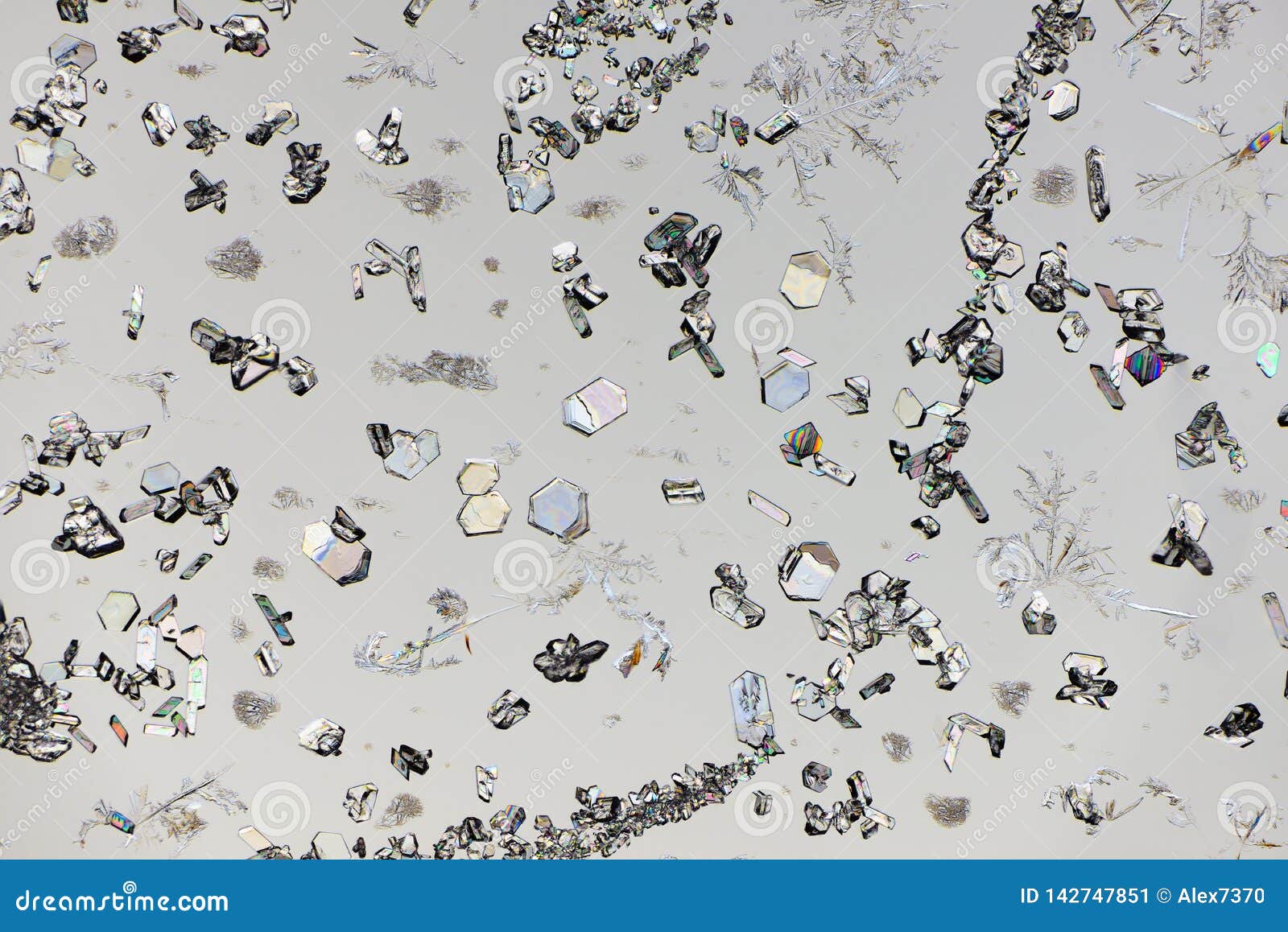 Colorful Micro Crystals in Polarized Light. Photo through a Microscope ...