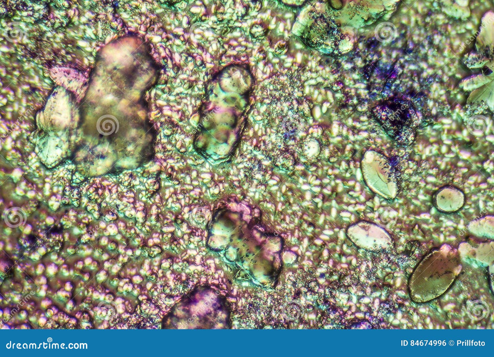 Colorful microcrystals stock photo. Image of polarisation - 84674996