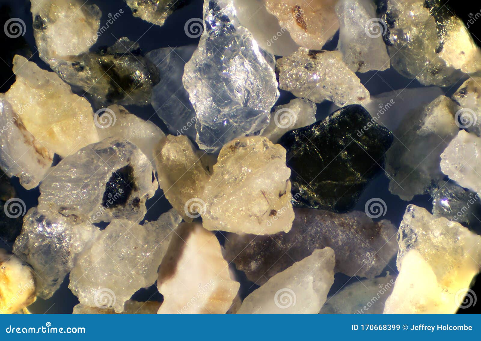 Colorful Micrograph of Sand Grains from Puerto Vallarta, Mexico Stock ...