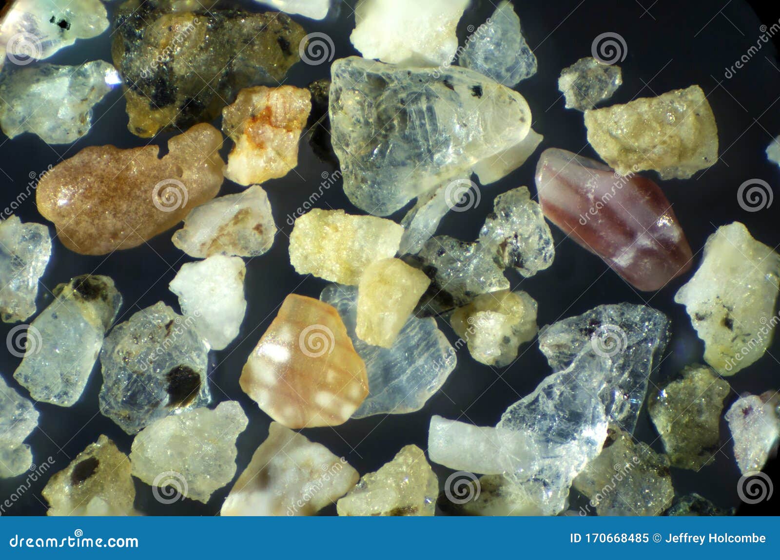 Colorful Micrograph of Sand Grains from Puerto Vallarta, Mexico Stock ...