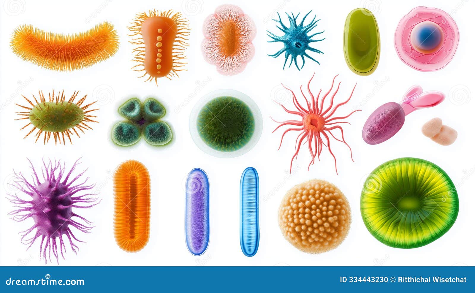 Colorful Microscopic Bacteria and Germs, Showcasing the Unseen World ...