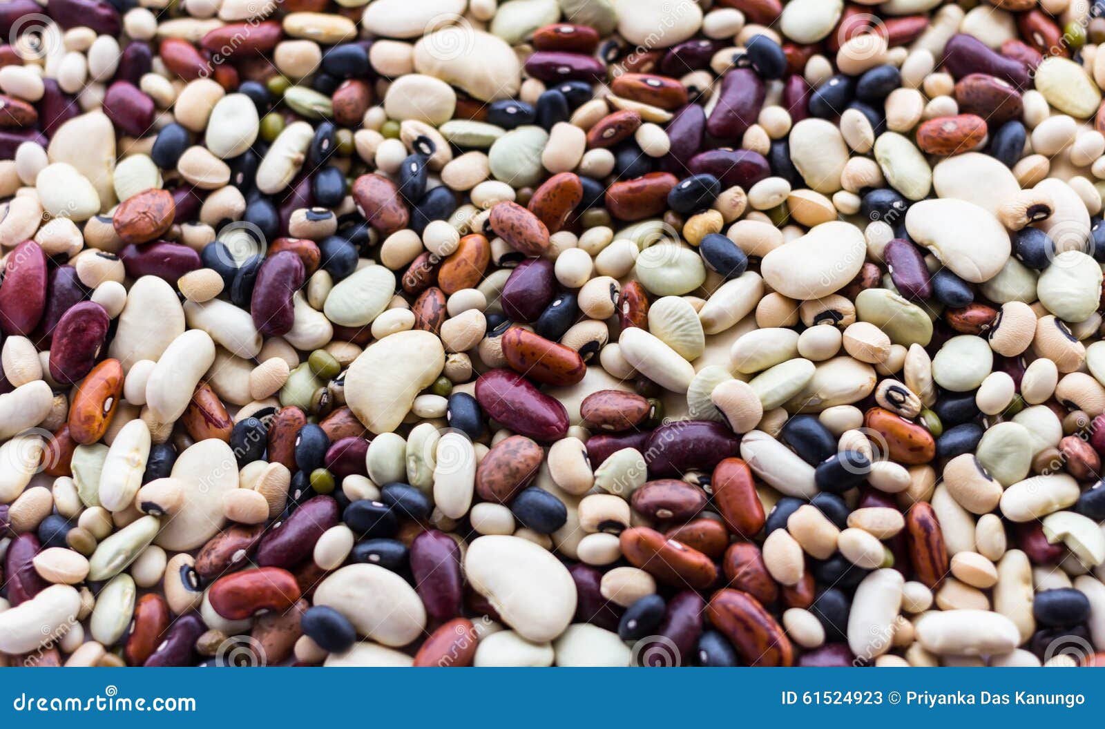 Colorful Mixed Beans stock image. Image of healthy, kidney - 61524923