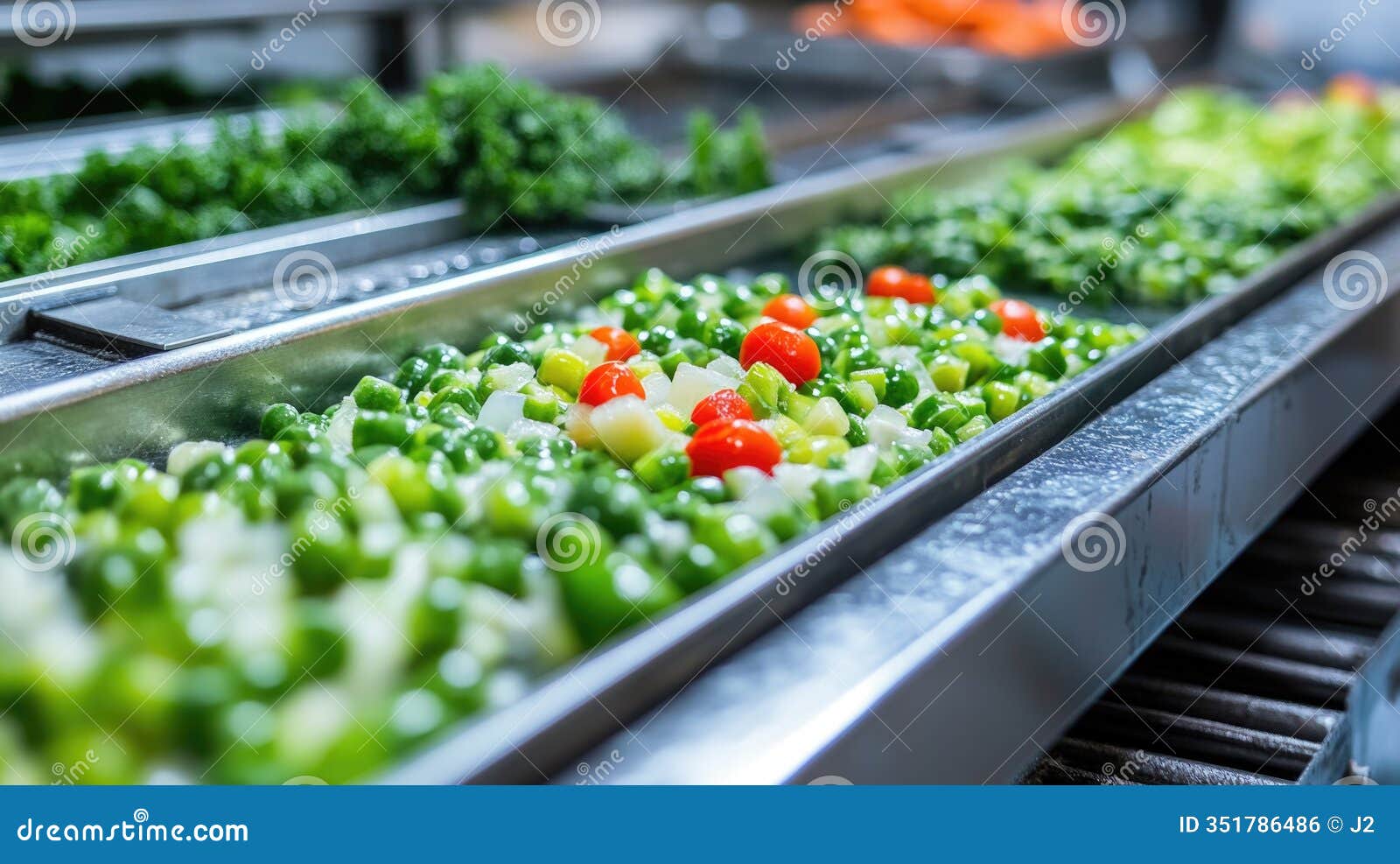 Colorful Mixed Vegetables on Food Processing Conveyor Belt in Factory ...