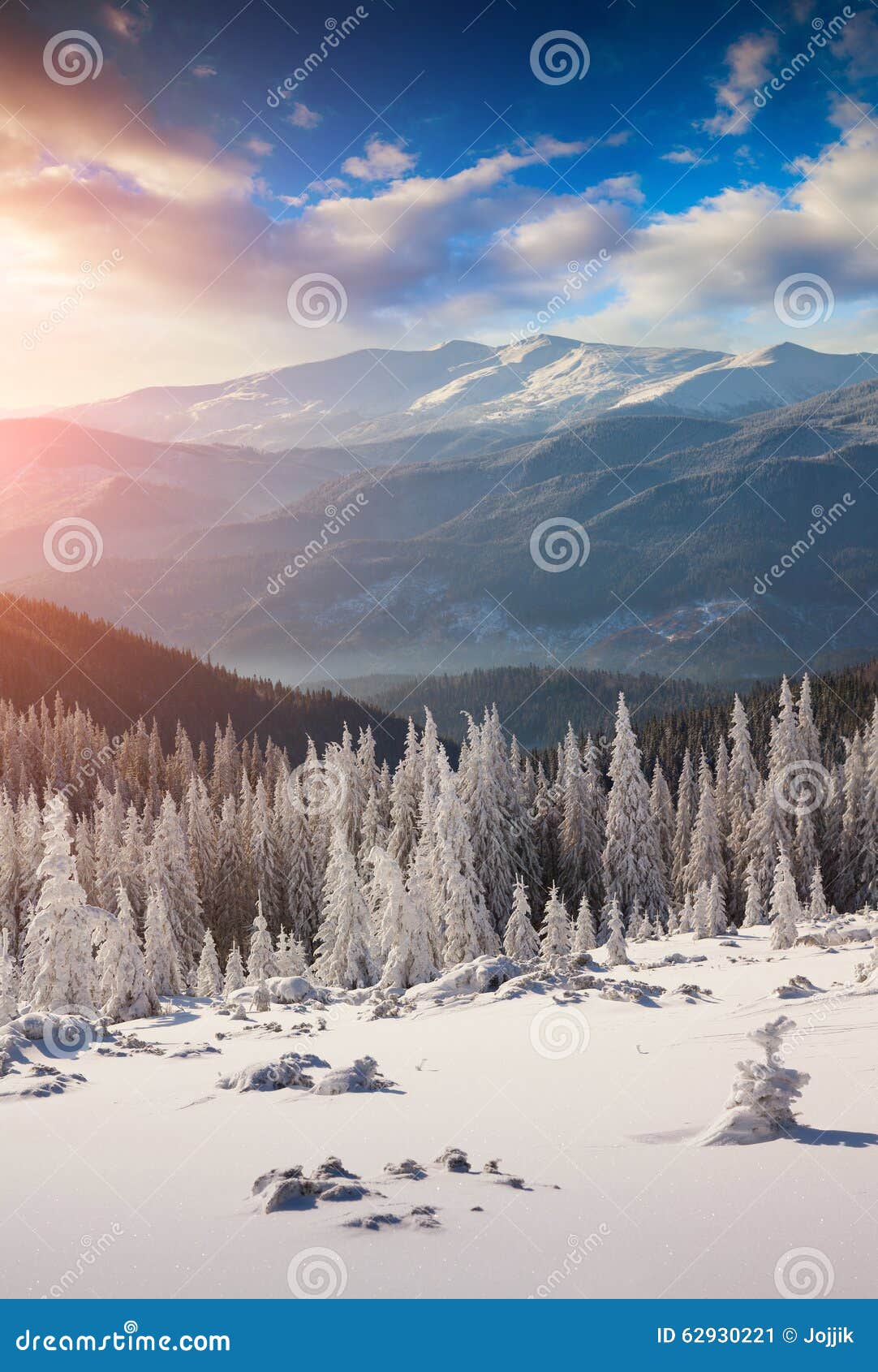 Colorful Morning Scene in Winter Mountain. Stock Image - Image of ...