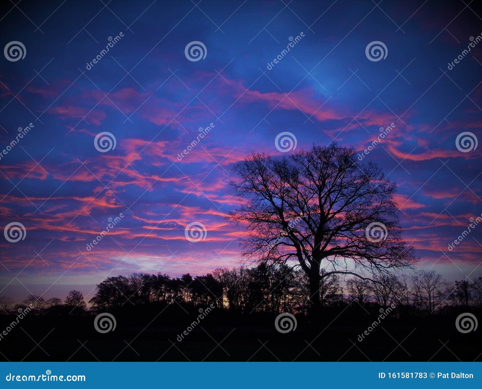 A Colorful Morning Sky with a Tree Stock Image - Image of morning, tree ...