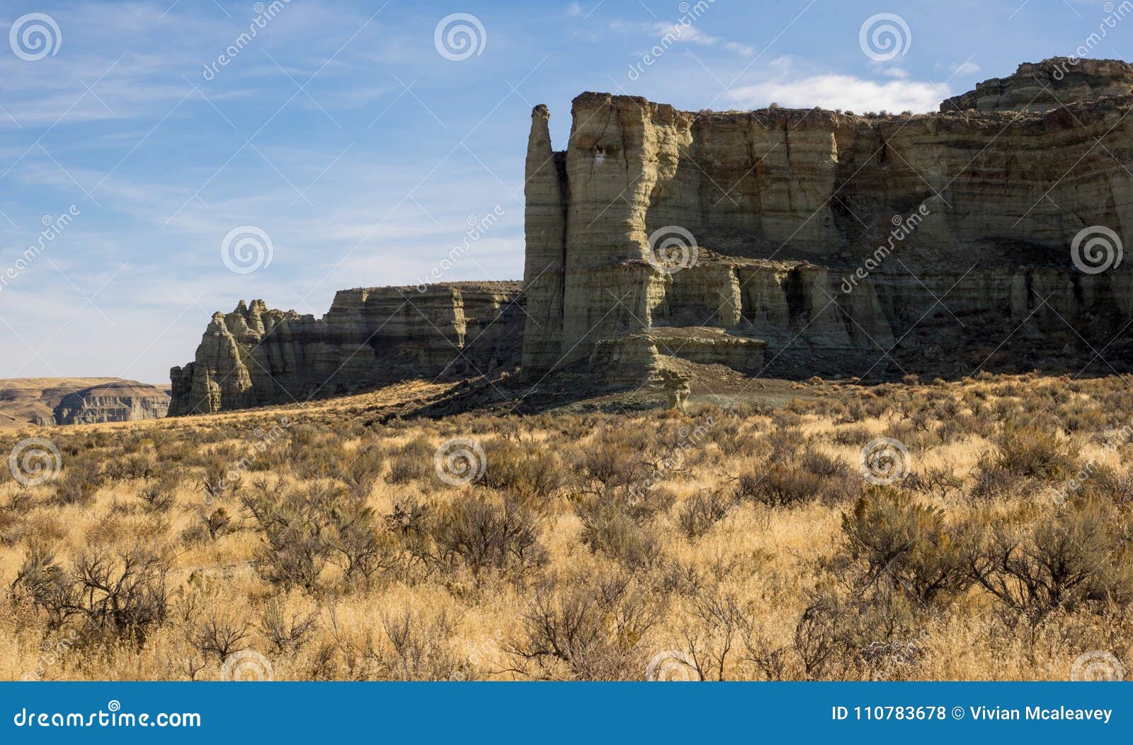 Cliffs in Desert in Oregon. Stock Photo - Image of pillars, blue: 110783678