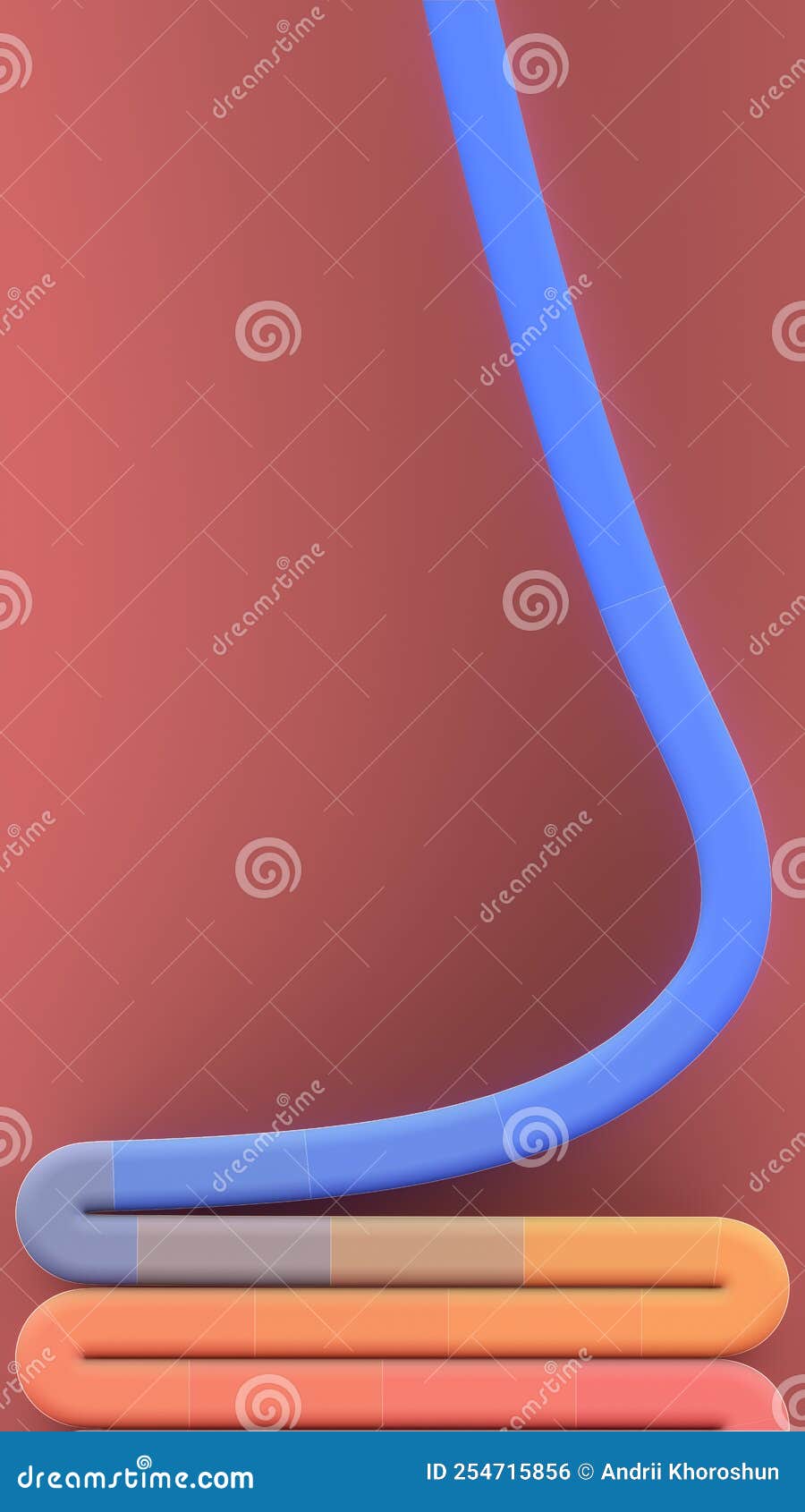 Colorful Multi-colored Lines. Modern Squiggly Abstract Flow. Trendy ...