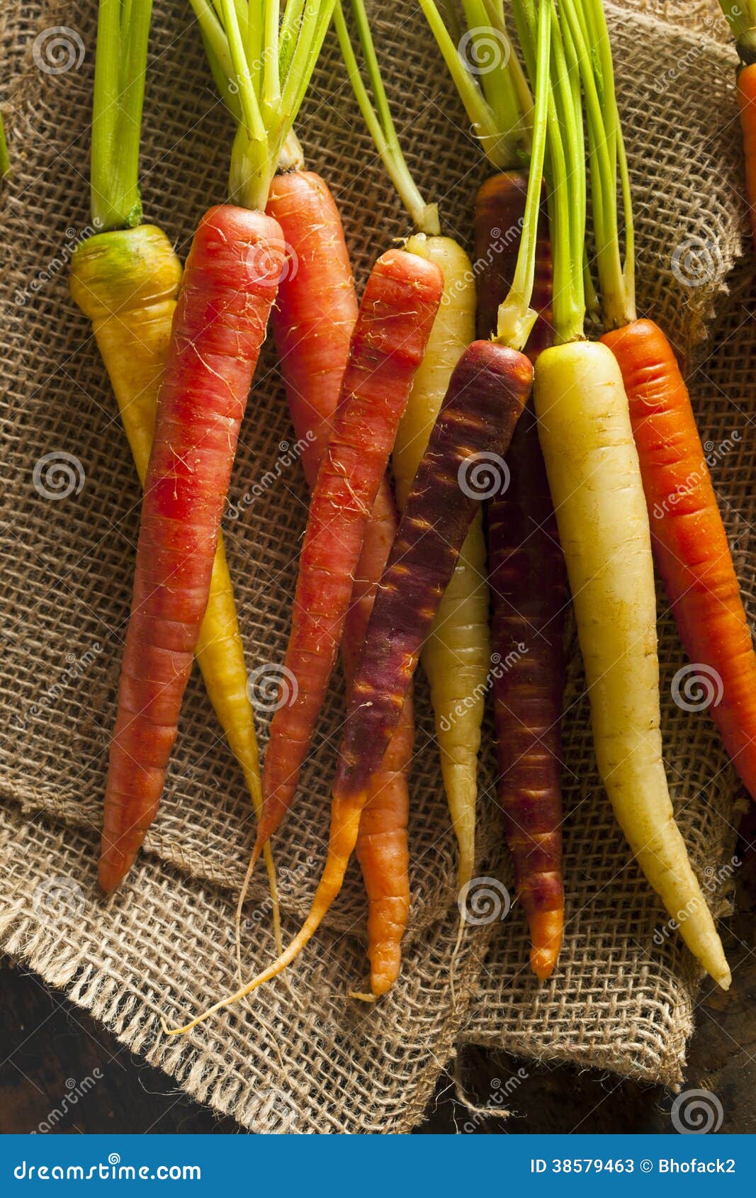 Colorful Multi Colored Raw Carrots Stock Image - Image of tuber ...