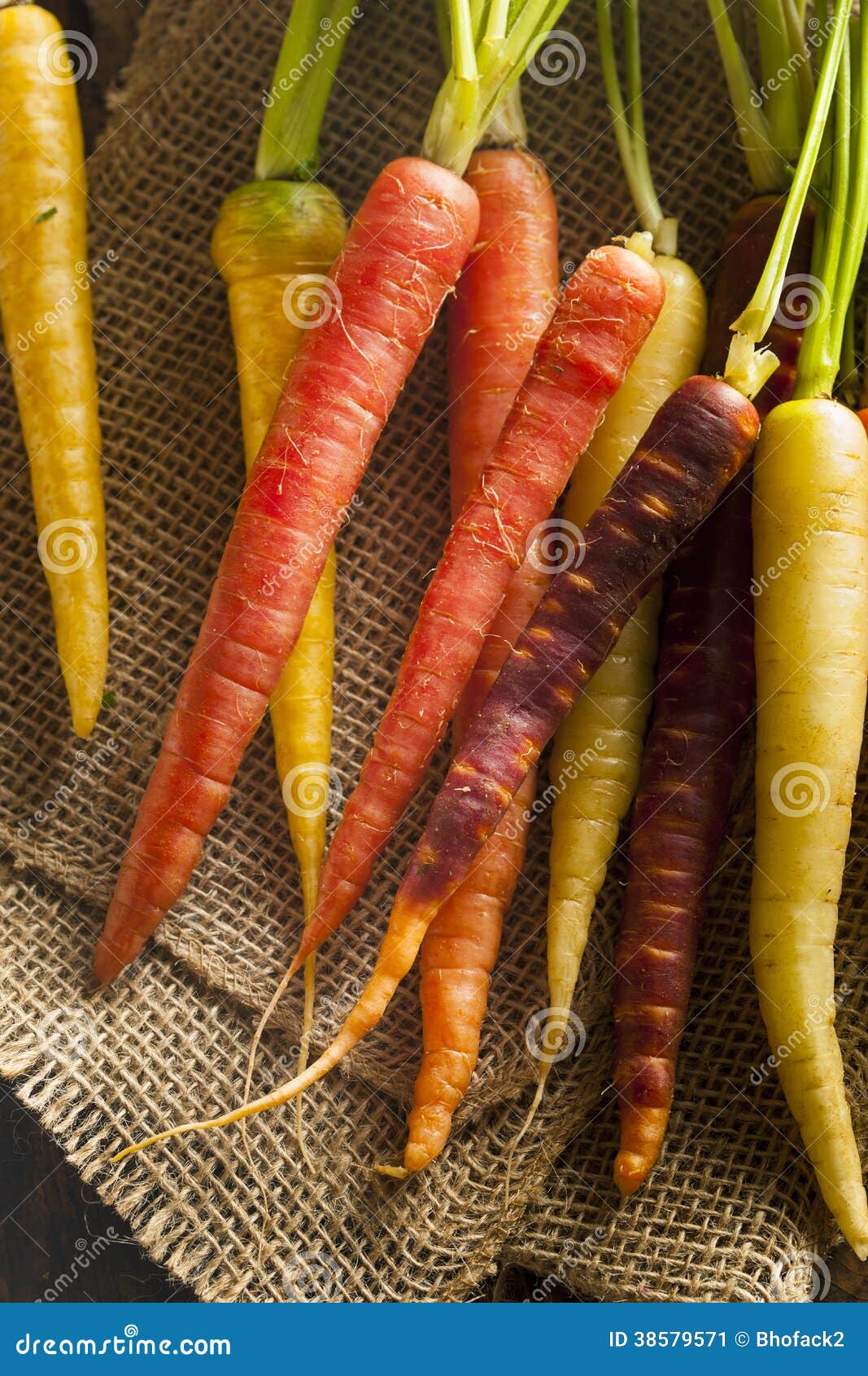 Colorful Multi Colored Raw Carrots Stock Image - Image of produce, ripe ...