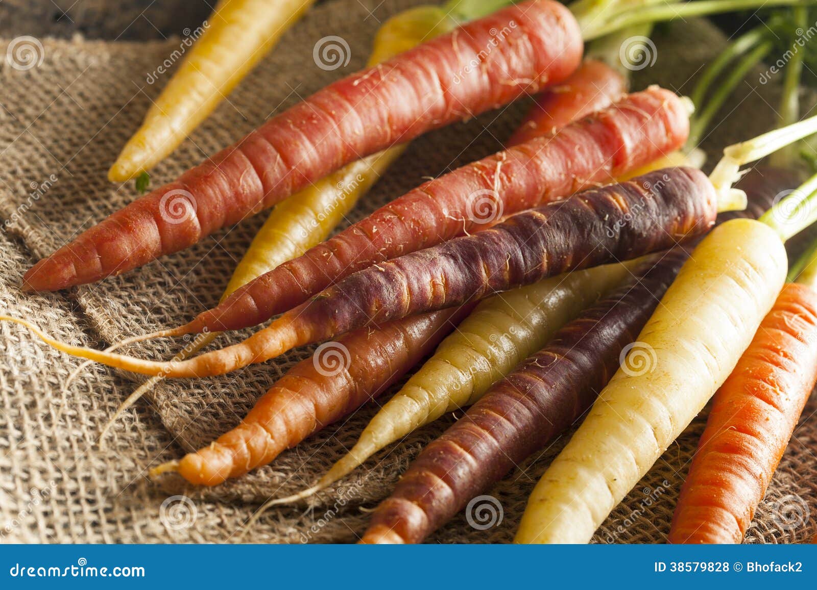 Colorful Multi Colored Raw Carrots Stock Photo - Image of rustic, green ...
