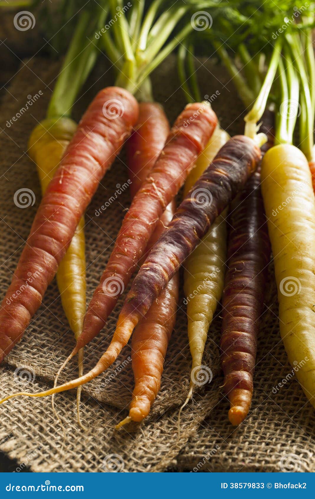 Colorful Multi Colored Raw Carrots Stock Image - Image of dieting ...