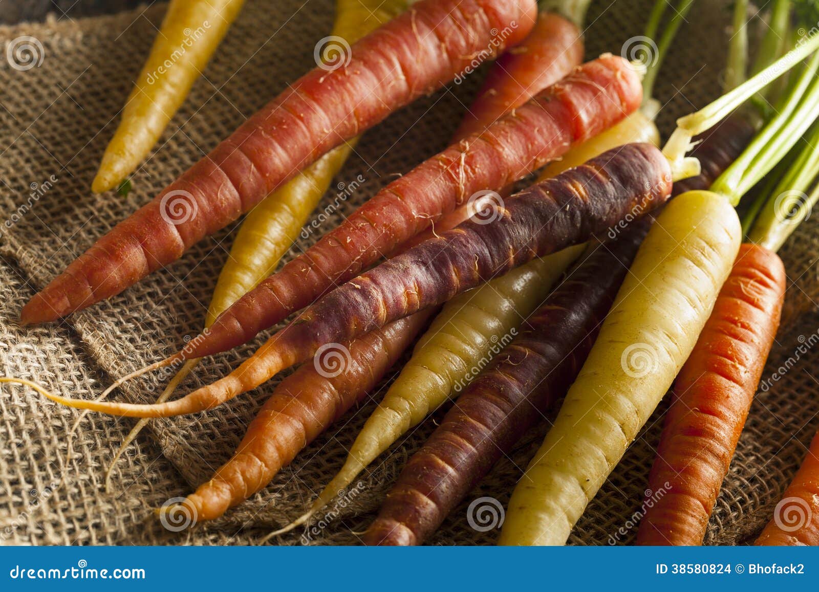 Colorful Multi Colored Raw Carrots Stock Photo - Image of food, dieting ...