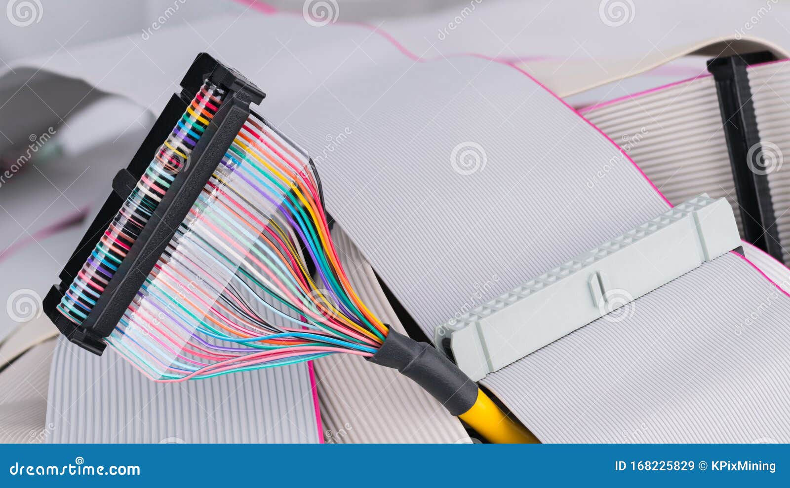 Colorful Multi Wire Bus Connector on White Ribbon Cables Background ...