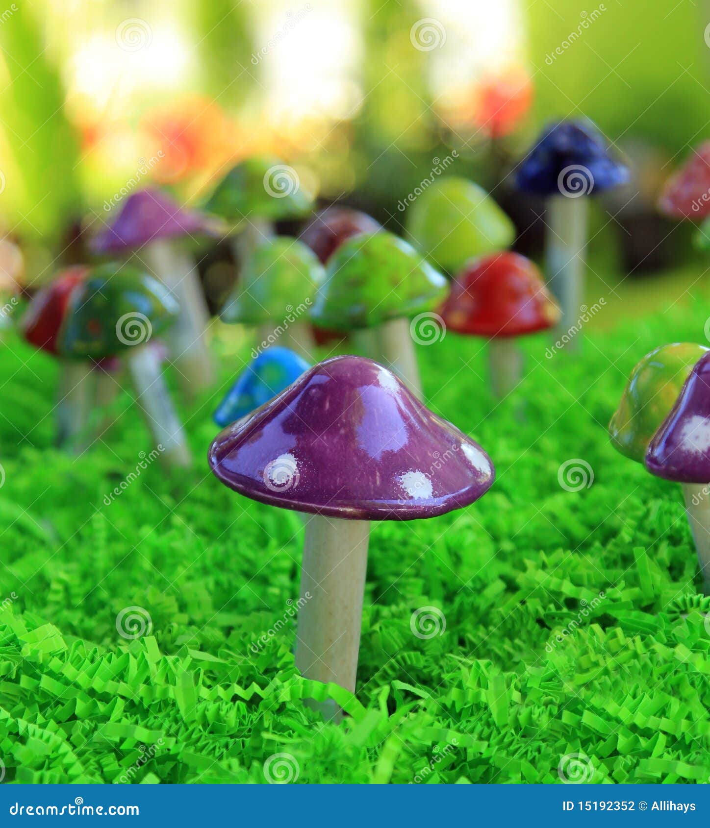 Colorful Mushrooms stock photo. Image of toadstools, shiny - 15192352
