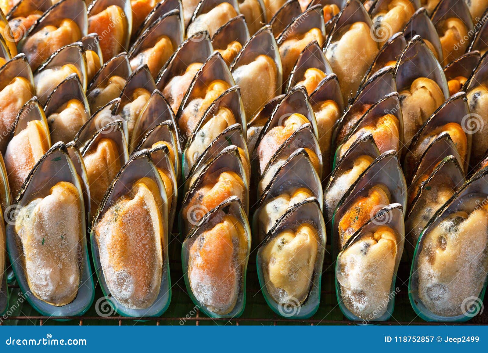 Bake Mussels with Salt in Open Shells. Stock Image - Image of pastry ...