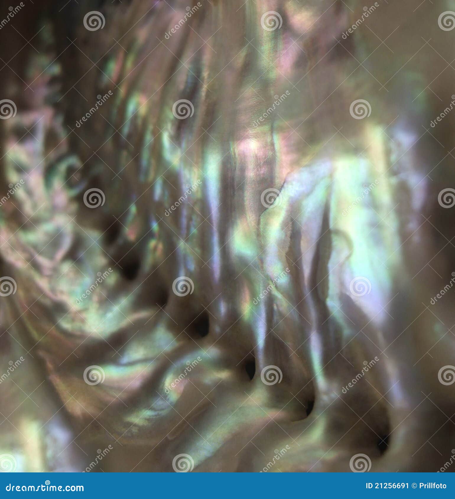 Colorful nacre closeup stock image. Image of exoskeleton - 21256691
