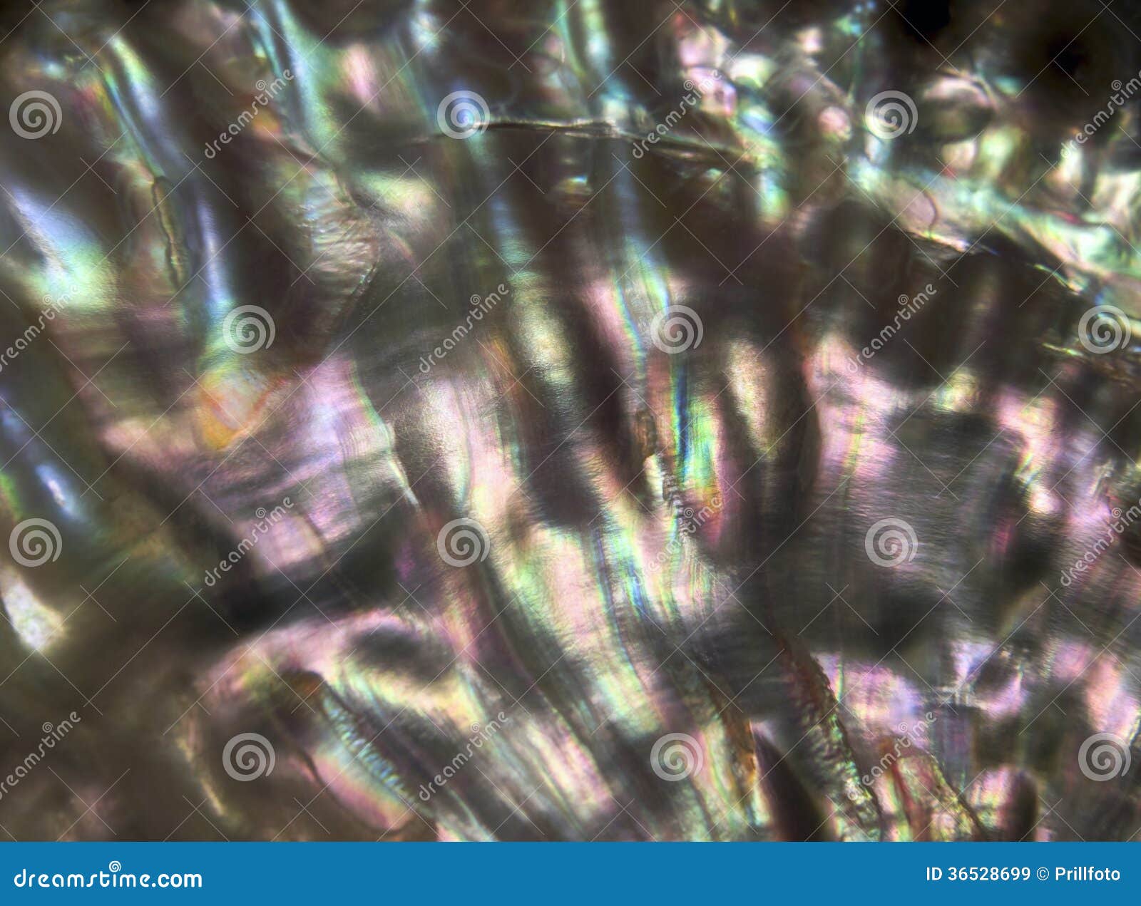 Colorful nacre closeup stock image. Image of abstract - 36528699
