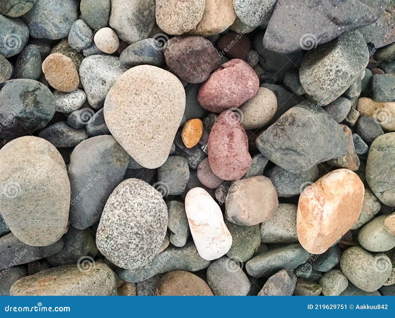 Colorful River Stones Background, Top View. Stock Image - Image of ...