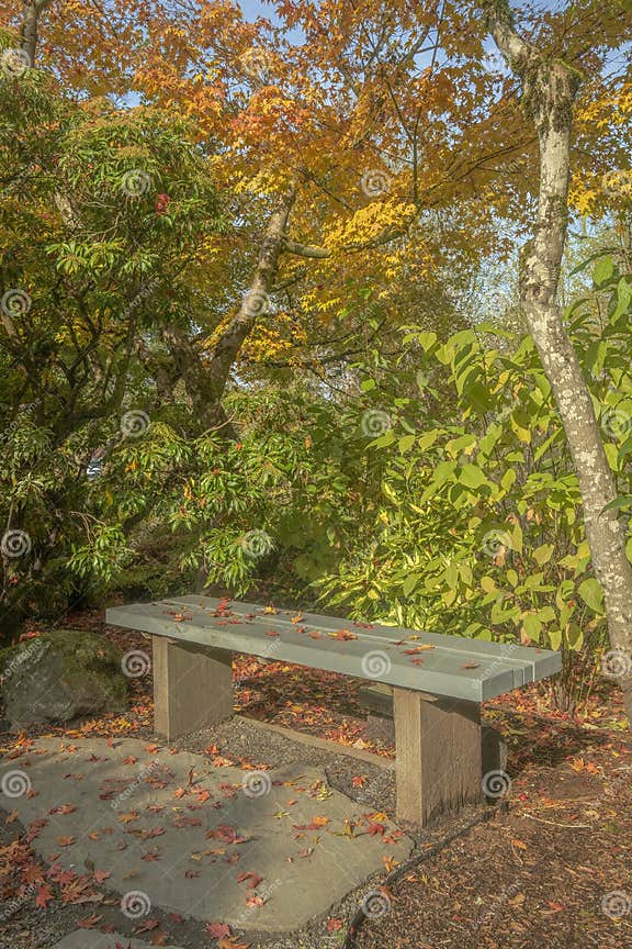 Colorful Nature in a Park Oregon State Stock Photo - Image of varieties ...