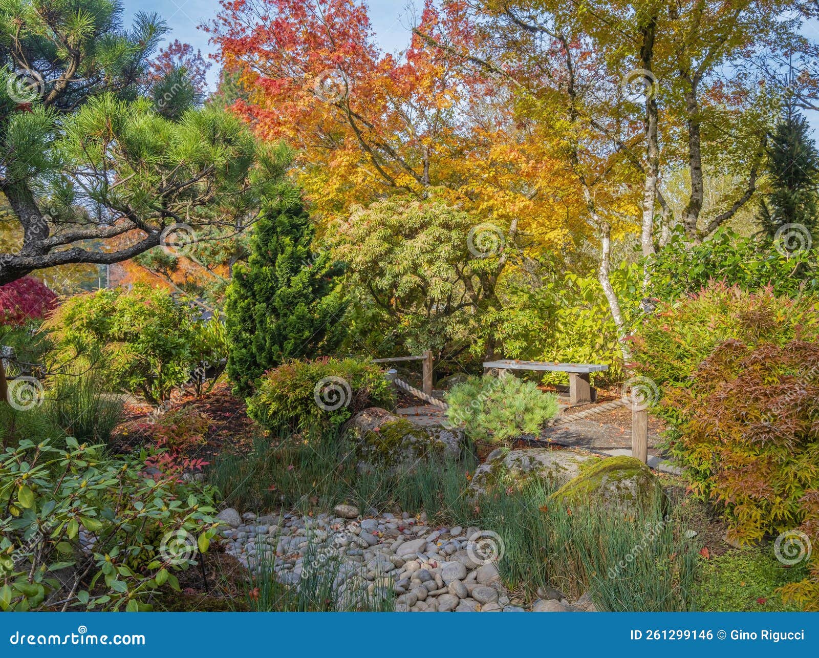 Colorful Nature in a Park Oregon State Stock Photo - Image of flora ...