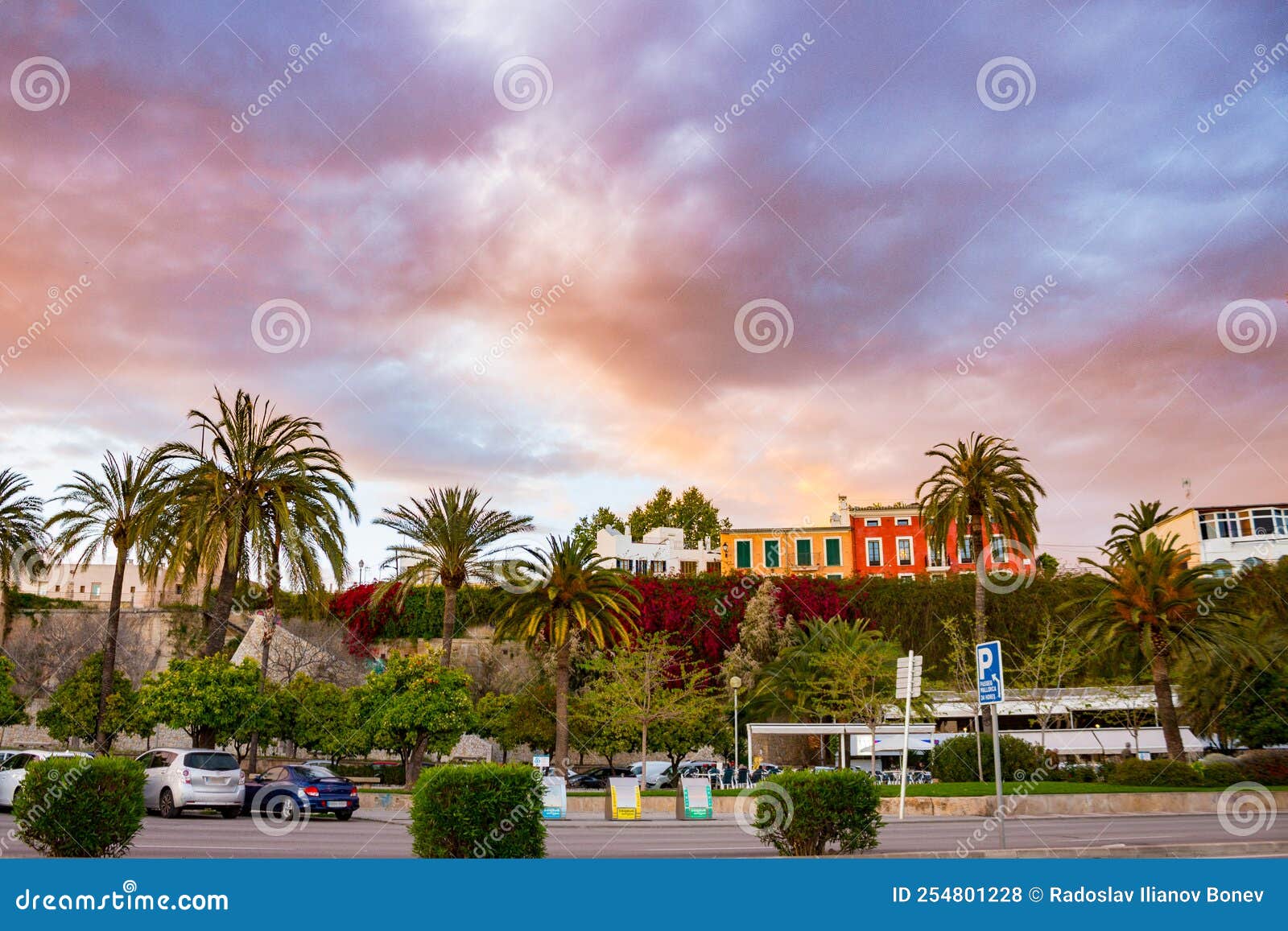Colorful Nature and Sky in Palma De Mallorca, Spain Stock Photo - Image ...
