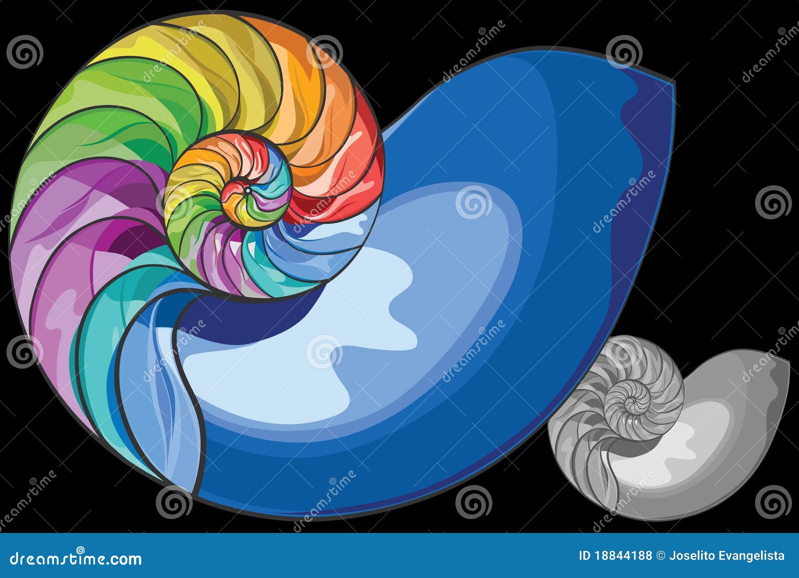 Nautilus Shell Spiral Shape Logo Cartoon Vector | CartoonDealer.com ... Nautilus Shell Spiral Shape Logo Cartoon Vector | CartoonDealer.com ...
