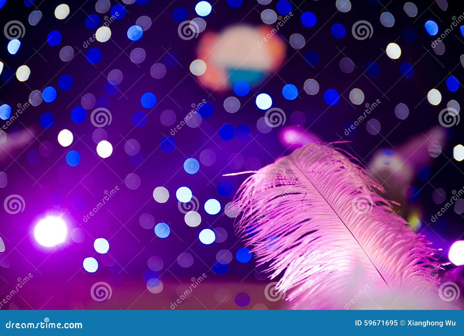 Colorful Neon Lights with One Feather Stock Image - Image of animals ...